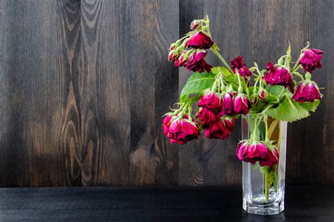 어두운 나무 배경에 유리에 잎과 아름다운 무산 장미 마른 장미와 복사 공간이있는 훌륭한 나무 배경 장미에 대한 스톡 사진 및 기타 이미지 Istock