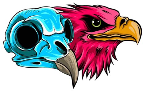Mascot Head Of An Eagle Vector Illustration Feather Beak Illustration Vector Feather Beak