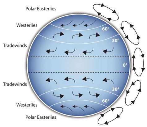 The Coriolis Effect Snowbrains
