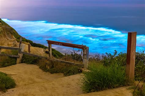 Blacks Beach La Jolla San Diego California Usa Travoh