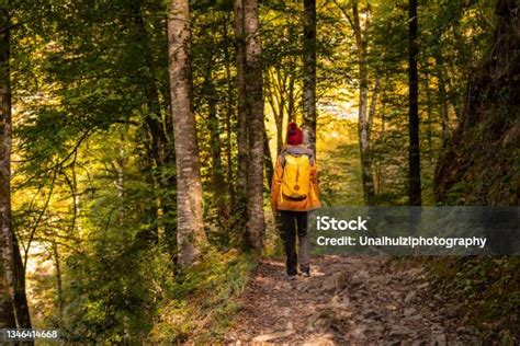 홀차르테 현수교 라라우로 가는 길에 있는 한 청녀 이라티의 숲이나 정글에서 프랑스의 피레네아틀란티크 40 44세에 대한 스톡 사진 및 기타 이미지 Istock