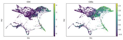 hands on inferring single cell trajectories with scanpy python inferring single cell