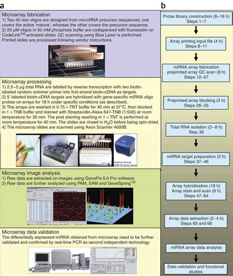 microrna expression profiling using microarrays nature protocols