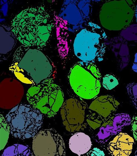 A Watershed Segmentation Of The Closed Image After A H Minima Filter Download Scientific