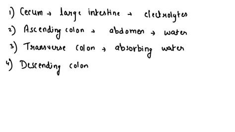 Solved Cecum Rectum Ascending Colon Transverse Colon Sigmoid Colon Ileum Descending Colon Canal