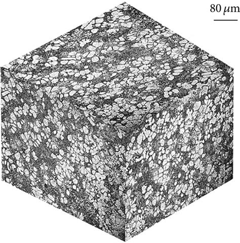 Microstructure Of Three Vertical Surfaces Of The Support By Nlsc Download Scientific Diagram