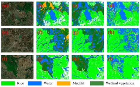 Mapping Paddy Rice In Ricewetland Coexistence Zone By Integrating Sentinel 1 And Sentinel 2 Data