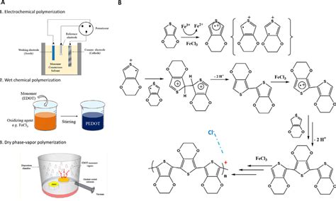 Synthesis Of Conjugated Polymers A Various Polymerization Routes Of Download Scientific