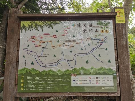 古意自然又清幽的德芙蘭步道 4 19 健行筆記