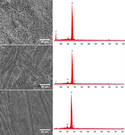 field sem image and eds analysis on the cathode gold sheet after the