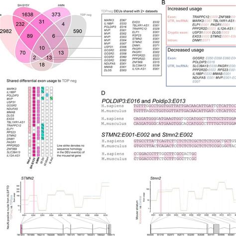 Study Selection And RNA Seq Data Processing Pipeline RNA Seq Datasets Download Scientific