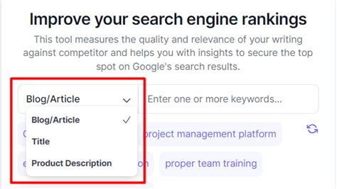 Seo Checker And Optimizer