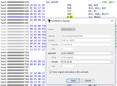 Possible Bug With Arm64 Conditional Branch · Issue 44 · Keystone