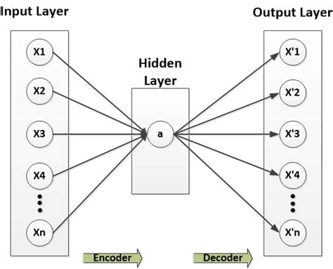An Example Of A Single Autoencoder Download Scientific Diagram