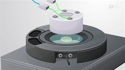 Video External Excitation Of One Dimensional Patterned Neuronal Cultures Experiment