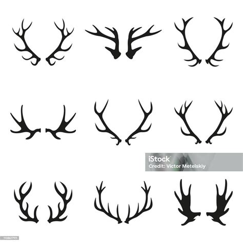 사슴 뿔 아이콘 세트입니다 뿔 아이콘 컬렉션 흰색 배경에 고립입니다 벡터 일러스트입니다 무스 사슴과에 대한 스톡 벡터 아트 및 기타 이미지 Istock