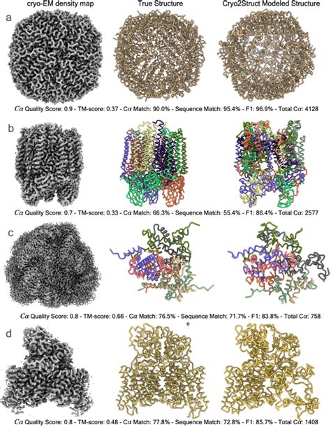 The High Quality Models Built For Four Test Cryo Em Maps In Each Panel