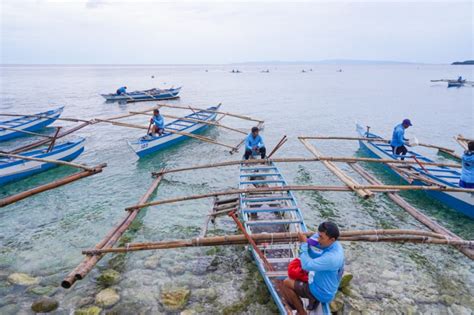 필리핀 세부 여행 오슬롭 고래상어 투말록 폭포 세부 여행 패키지 추천 네이버 블로그