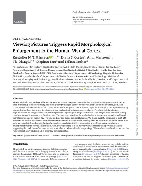 Pdf Viewing Pictures Triggers Rapid Morphological Enlargement In The Human Visual Cortex