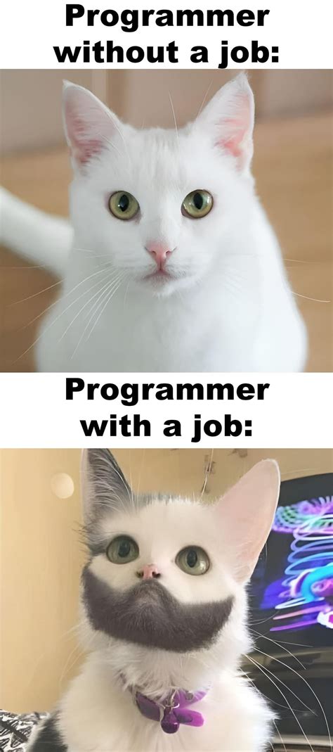Trying To Get Tkinter To Create Individual Links In A For Loop Rprogrammerhumor