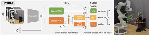 Multi Headed Architecture Of Hydra During Training We Learn To