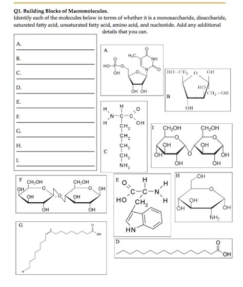 Q1 Building Blocks Of Macromolecules Dentify Each Of The Molecules Below Terins Of Whether