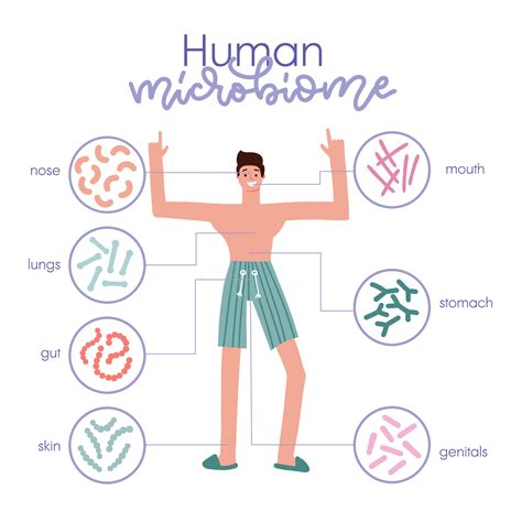 Different Types Of Human Microbiome Infographic With A Man Character Intestine Mouth Skin