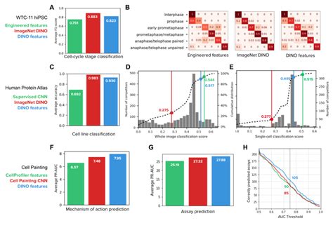 quantitative evaluation of feature representations in supervised