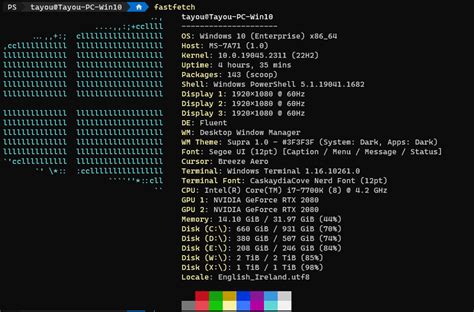 Windows Scoop Package Count Is Wrong · Issue 417 · Fastfetch Cli