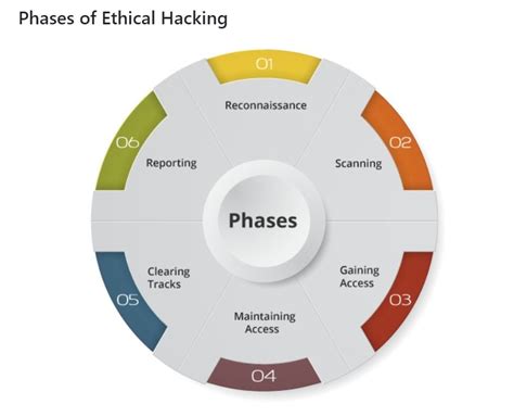 Techumen Infosec On Linkedin Cybersecurity Infosec Ethicalhacking