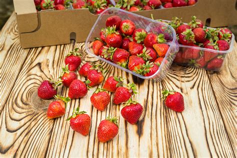 농부 시장에서 딸기의 상자입니다 상자 Fragaria의 전체입니다 전에 먹고 딸기 상자에 설정 하는 야외 시장에서 딸기 상자 바구니 텍스처 플라스틱 상자 신선한 딸기 딸기