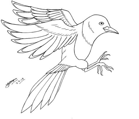 My Simple Magpie Tattoo Design 3 By ShannonxNaruto On DeviantArt Magpie Tattoo Tattoo