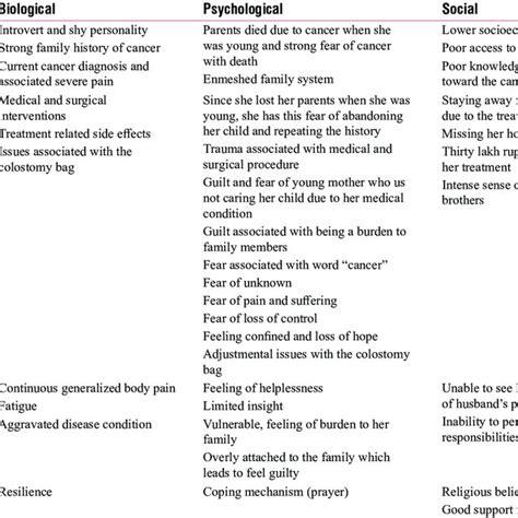 Case Formulation Based On Biopsychosocial Model Download Scientific