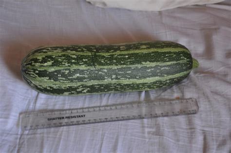 Marrow Wikigardener Fandom Powered By Wikia