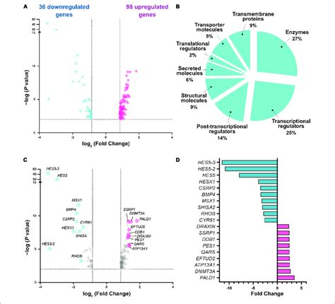 Transcriptome Analysis Reveals Differentially Expressed Genes Download Scientific Diagram