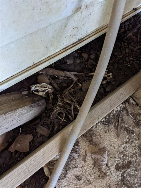 Its Been A While Since Weve Had Any Maintenance R Hvac