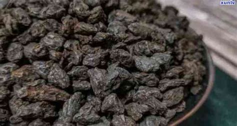 普洱碎银子与老茶头对比评价及选购指南 普洱茶 邮箱网