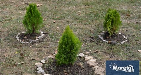 „Зелени градове зелени коридори“ Ще озеленяват крайградските зони и инфраструктурните обекти