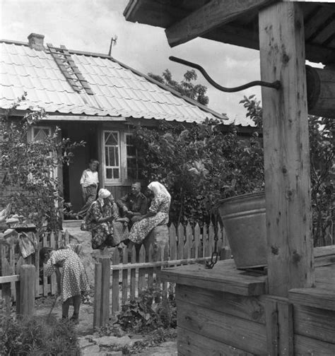 Фото Вся семья в сборе 1956 год Украинская ССР пос Боково Антрацит История России в