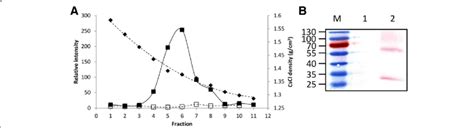 Cscl Density Gradient Centrifugation Profile Of Bfdv Cp A The Cscl