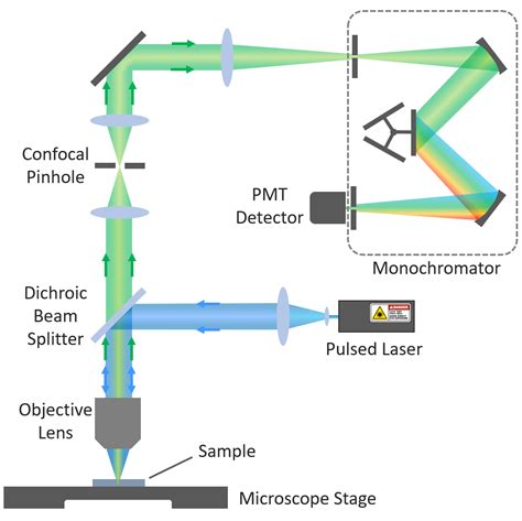 Fluorescence Microscopy Analysis Techniques At Lynell Johnston Blog