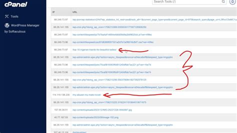 How To Identify Overload Causes On A Wordpress Site