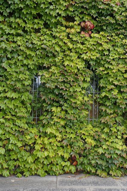 Design Form Function