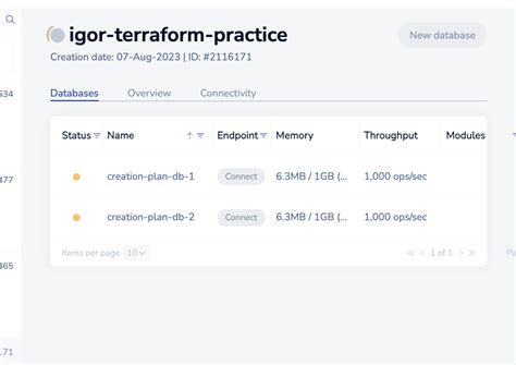 terraform and redis cloud an autopilot to deploy your apps 2x faster