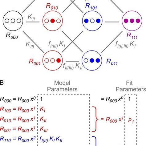 Structural Identifiability Analysis Of Parameters For Two Site Binding Download Scientific