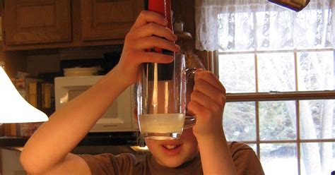 Liber Parma Lab Report DNA Extraction