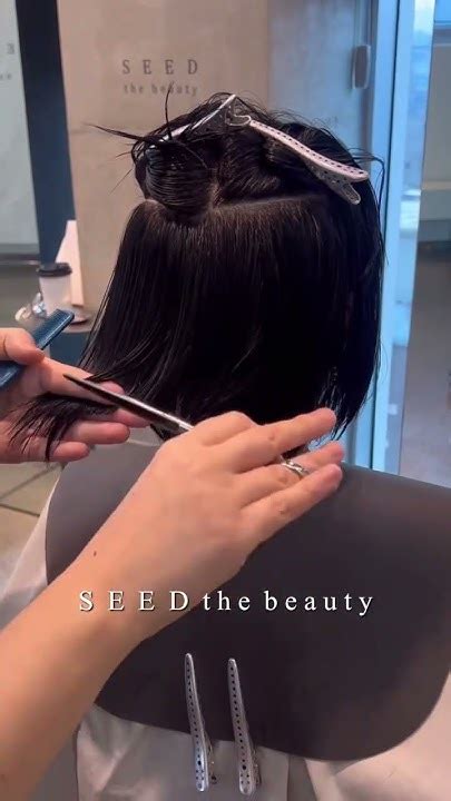 숏컷과 단발사이💇‍♀️ 성수동미용실 시드더뷰티 숏컷숏단발 Youtube