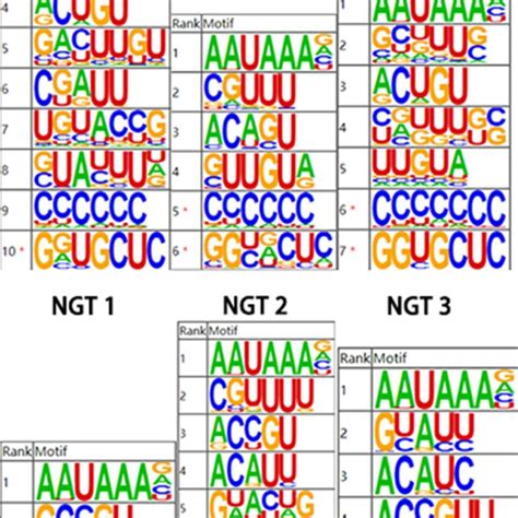 Sequence Analysis Of Poly A Loci Download Scientific Diagram