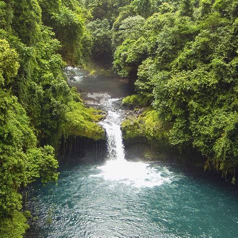 Excursión Al Pico Basilé Rumbo Malabo