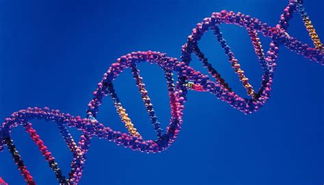 Recombinant Dna Technology Pros And Cons You Should Know